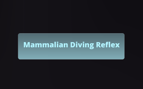 Mammalian Diving Reflex by Haley Wall on Prezi
