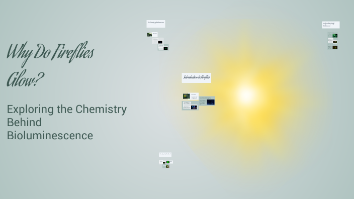 Why Do Fireflies Glow? by Gabrielle Diggins on Prezi