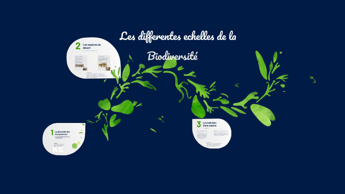 SVT 2nd General by anais estrada on Prezi