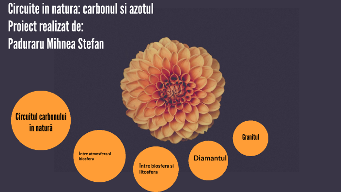 Circuite in natura: carbonul si azotul by Mihneastef Cr on Prezi