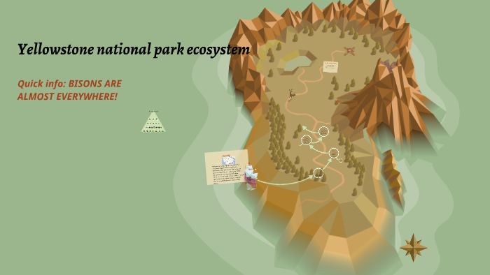 Yellowstone national park ecosystem by Lynn Shen on Prezi