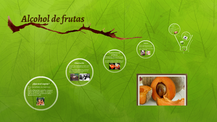 Alcohol de frutas by Marcos Rojas polo on Prezi