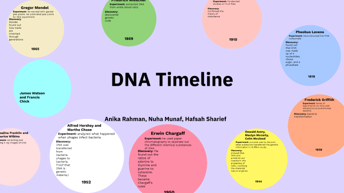DNA Timeline by Anika Rahman on Prezi