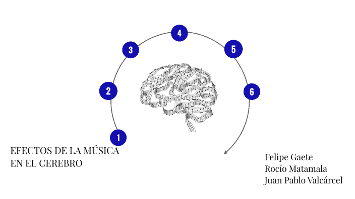 Efectos de la musica en el cerebro by rocio matamala olmedo on Prezi
