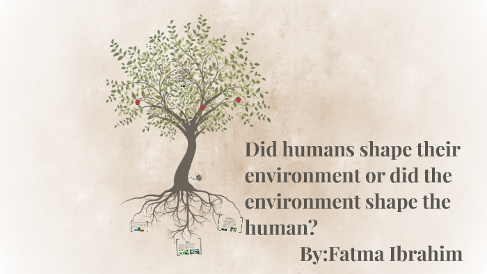 Did humans shape their environment or did the environment sh by fatma ...