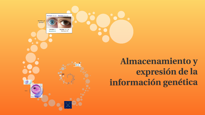 Almacenamiento y expresion de la informacion genetica by Liria ... Almacenamiento y expresion de la informacion genetica by Liria ...