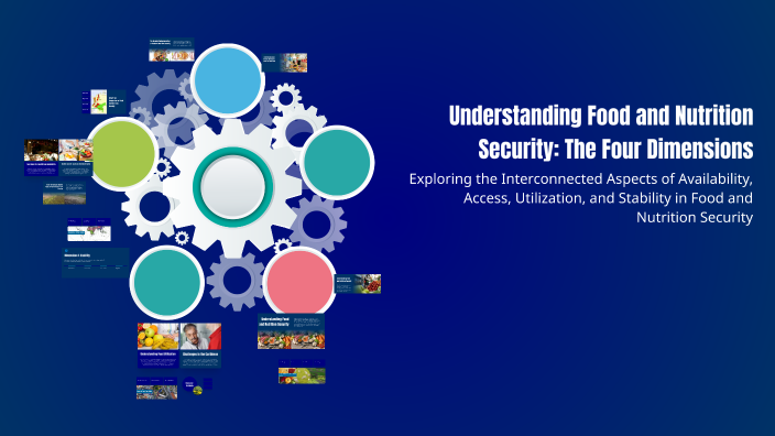 Understanding Food and Nutrition Security: The Four Dimensions by ...