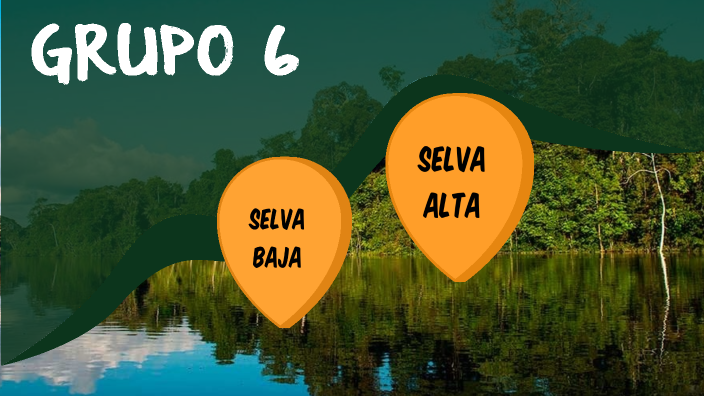 SELVA ALTA Y SELVA BAJA by Yanira Alfaro on Prezi
