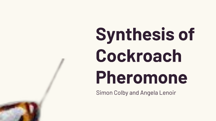 Organic Chemistry III - Synthesis of Cockroach Pheromone by Angela ...
