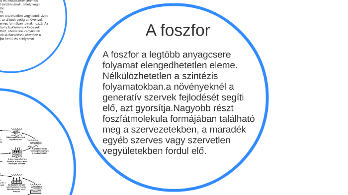 A foszfor körforgása a vízben by Ágota Princz on Prezi