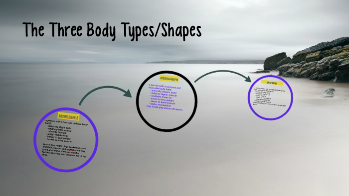 The Three Body Types/Shapes by luke ermantrout on Prezi
