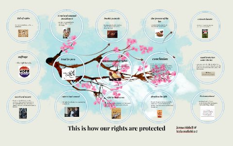 This is how our rights are protected by jenna riddell on Prezi