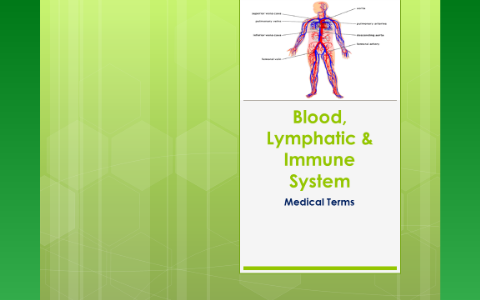 Blood, Lymphatic and Immune System Terminology by Quincie Multimedia on ...