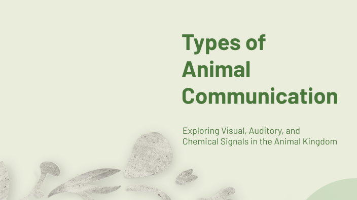 Types of Animal Communication by Areeba Qasim on Prezi
