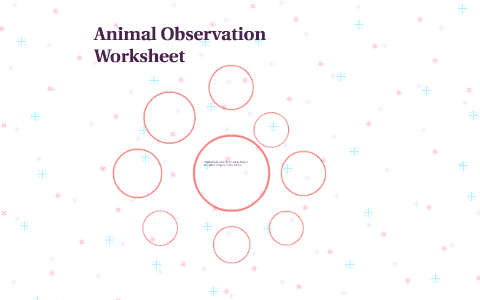 Animal Observation Worksheet by Ulisses Vega on Prezi
