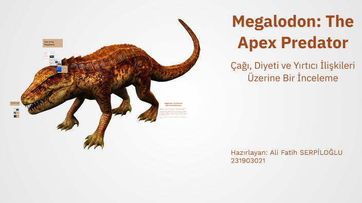 Megalodon: The Apex Predator by Ali fatih Serpiloğlu on Prezi