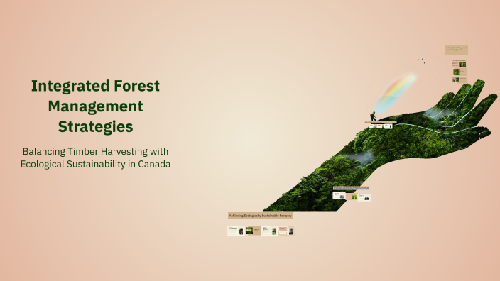 Integrated Forest Management Strategies by maki baguio on Prezi