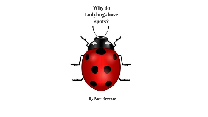 Why do Ladybugs have spots? by Noe Marshall on Prezi