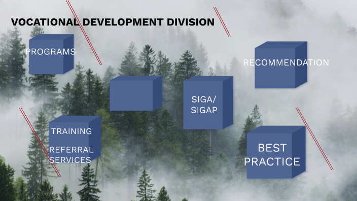 VDD ACCOMPLISHMENT REPORT by Mean Tungpalan