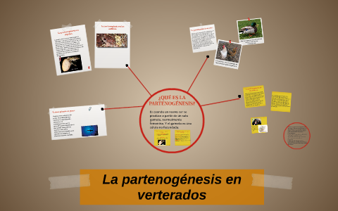La partenogénesis en verterados by María García Gallego on Prezi