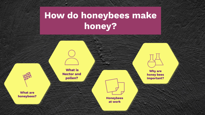 Bees by savannah romano on Prezi