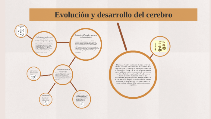 El proceso evolutivo nos muestra el origen de la vida desde by zorrate ...