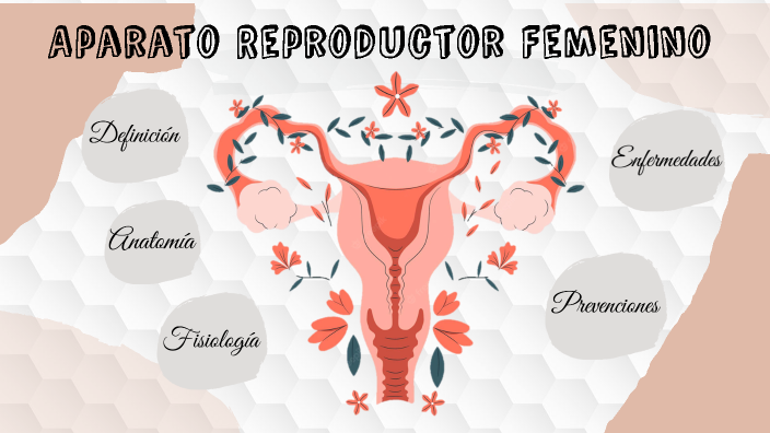 Aparato reproductor femenino by Nátalie Sánchez Sandoval on Prezi