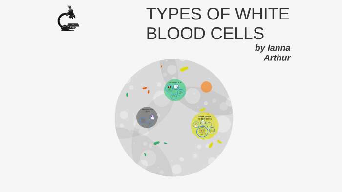 TYPES OF WHITE BLOOD CELLS by Ianna Arthur on Prezi