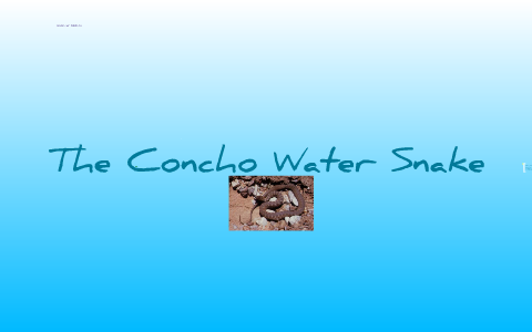 Concho Water Snake by Susan Albright on Prezi