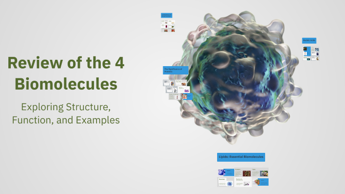 Review of the 4 Biomolecules by JAYDE DAY on Prezi