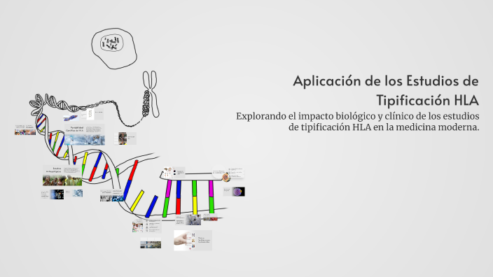 Aplicación de los Estudios de Tipificación HLA by rocio tenorio on Prezi