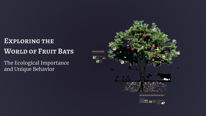 Exploring the World of Fruit Bats by on Prezi