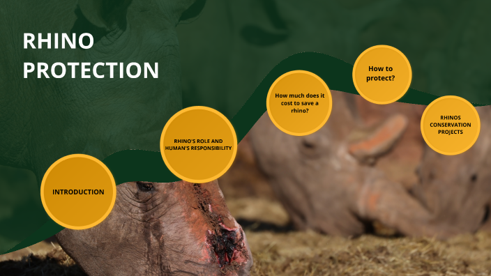 RHINO PROTECTION by Tiên Phạm on Prezi