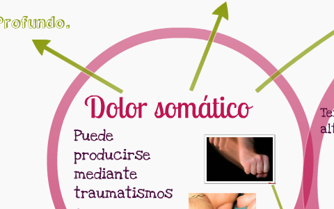 Dolor Somatico by ERIKA CHAVEZ on Prezi