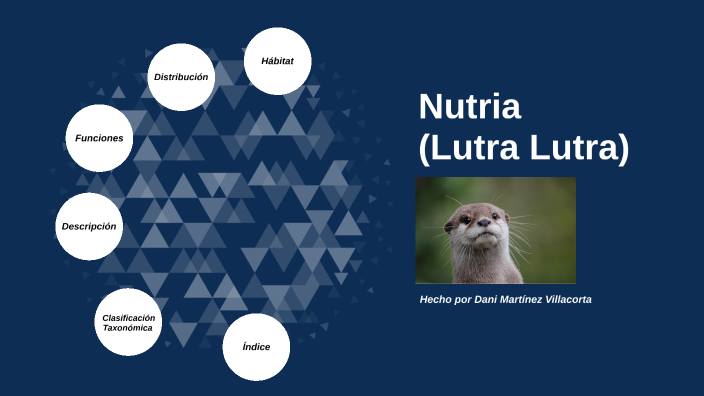 Nutria(Lutrinae) by Daniel Martínez Villacorta on Prezi
