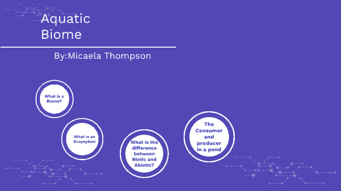 Aquatic Biome Project by Micaela Thompson on Prezi