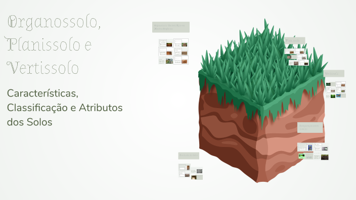 Organossolo, Planissolo e Vertissolo by Gabriel Servello on Prezi
