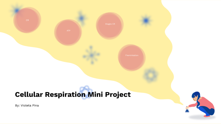 Cellular Respiration Mini Project by Violeta Pina on Prezi