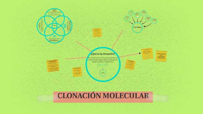 CLONACIÓN MOLECULAR by Fernando López on Prezi
