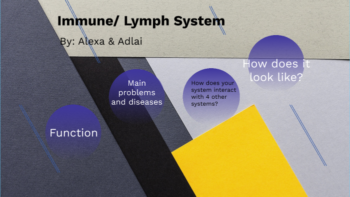 Immune/Lymph System by Alexa Verduzco-Quirarte on Prezi