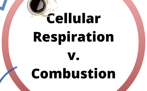 Cellular Respiration v. Combustion by Anjuli Davidson on Prezi