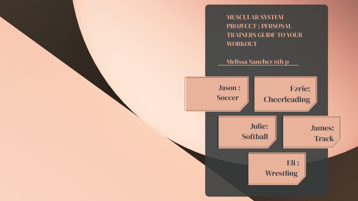 MUSCULAR SYSTEM PROJECCT : PERSONAL TRAINERS GUIDE TO YOUR WORKOUT by ...