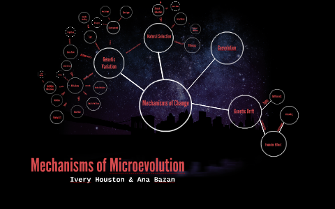 Mechanisms of Microevolution by Ivery Bazan on Prezi