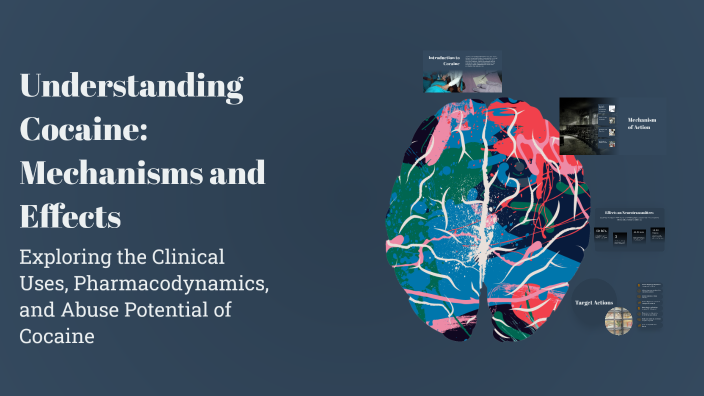 Understanding Cocaine: Mechanisms and Effects by 0216443 on Prezi