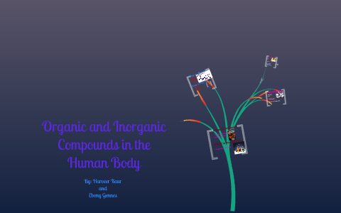 Organic and Inorganic Compounds in the Human Body by Ebony Gennes on Prezi