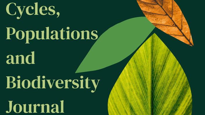 Cycle Journal by Georgia Pirkle on Prezi