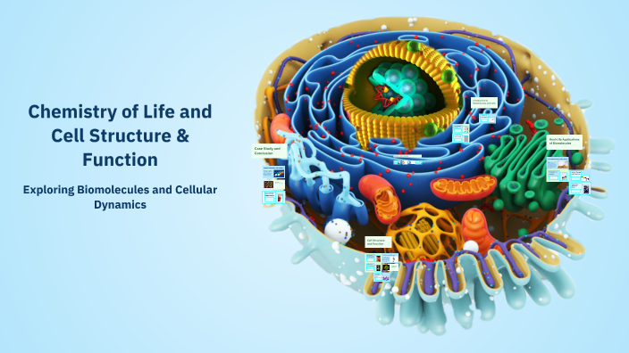 Chemistry of Life and Cell Structure & Function by mariam mohmmed on Prezi