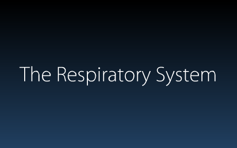 The Respiratory System by tess medlin on Prezi