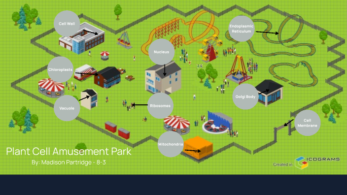 Plant Cell Amusement Park by Madison Partridge [Student] on Prezi