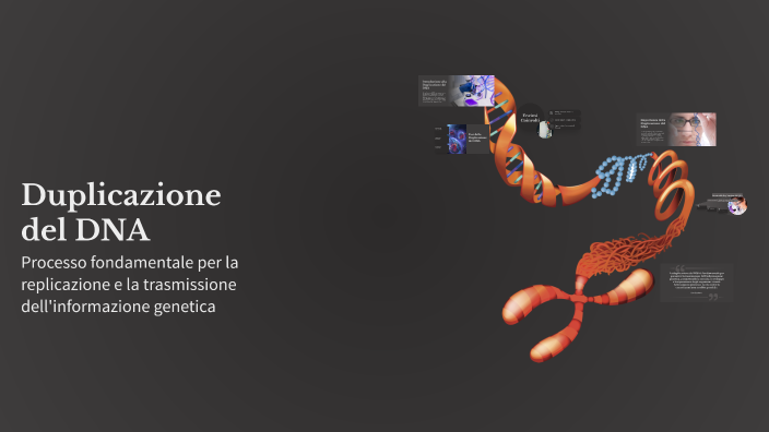 Duplicazione del DNA by on Prezi